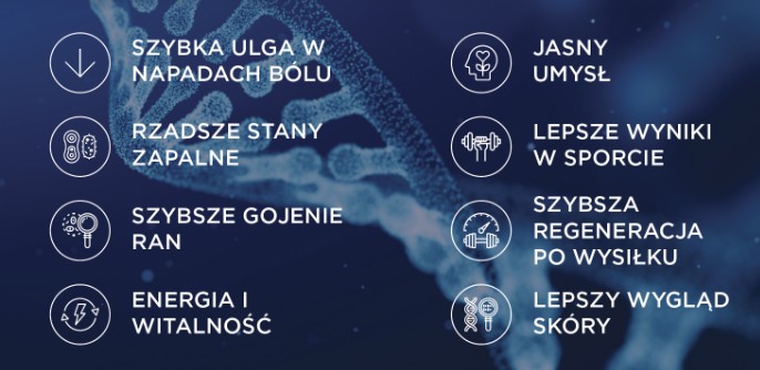 LifeWave – DiBuCard Polska